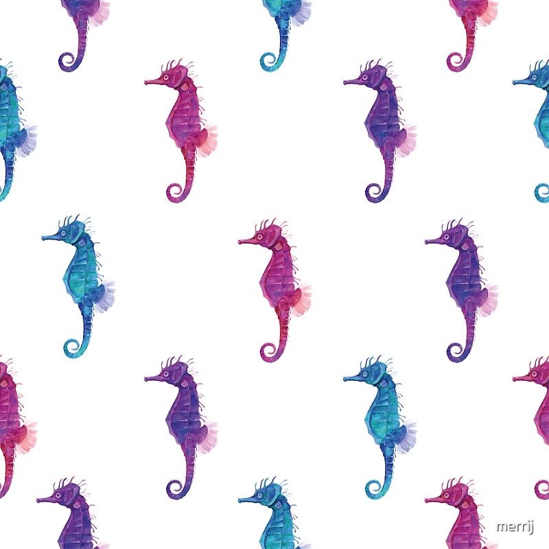 "Seahorse" by merrij | Redbubble