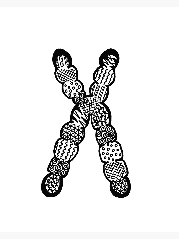 "Chromosome " Sticker for Sale by hiratassawar | Redbubble