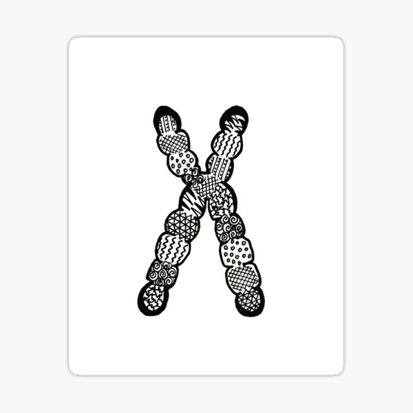"Chromosome " Sticker for Sale by hiratassawar | Redbubble