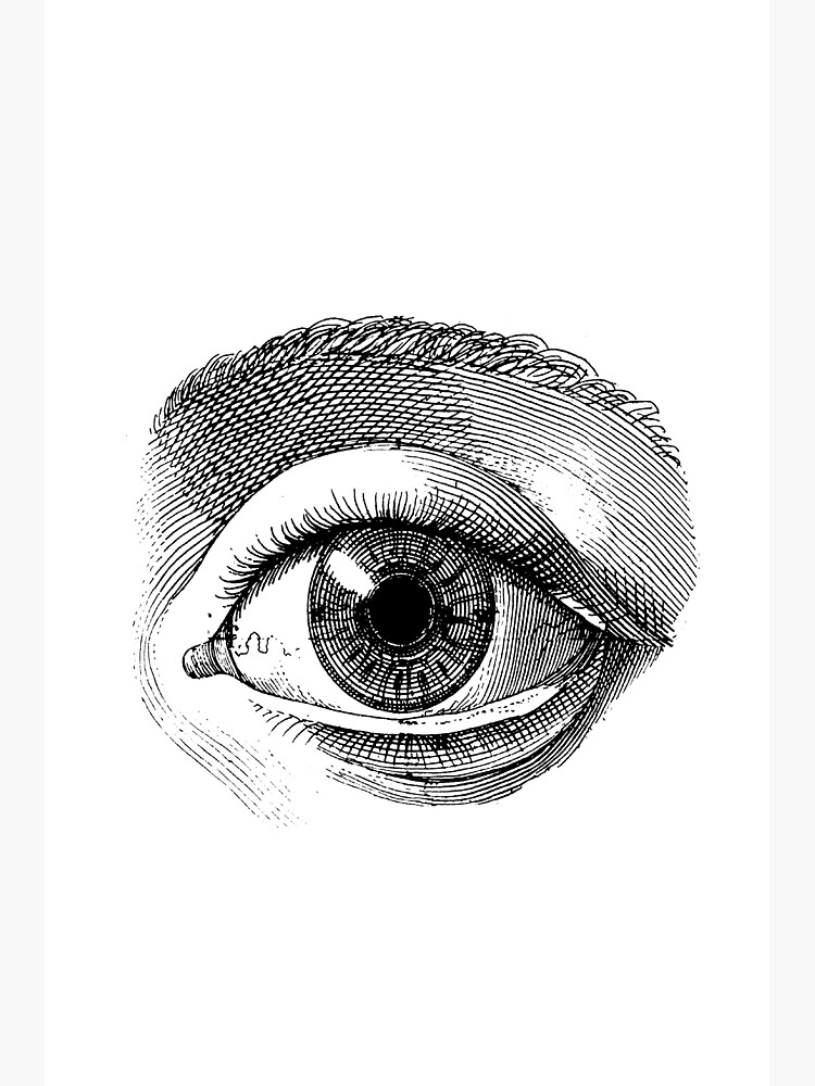 "Eye Drawing Vintage Human Anatomy " Sticker by spameris86 | Redbubble