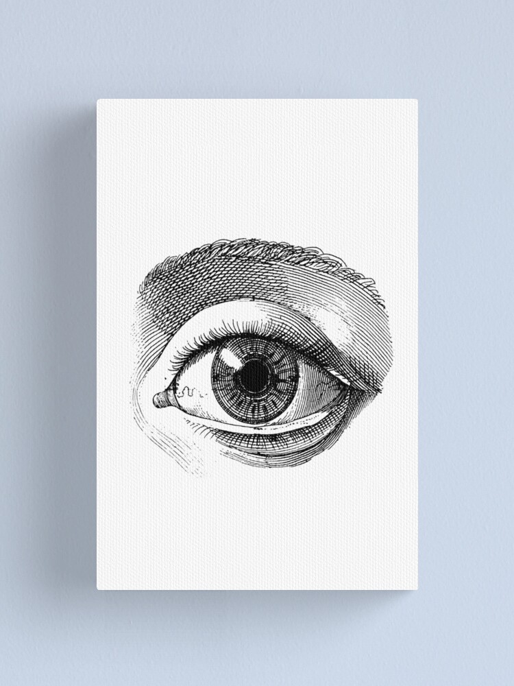 "Eye Drawing Vintage Human Anatomy " Canvas Print for Sale by Sintija ...