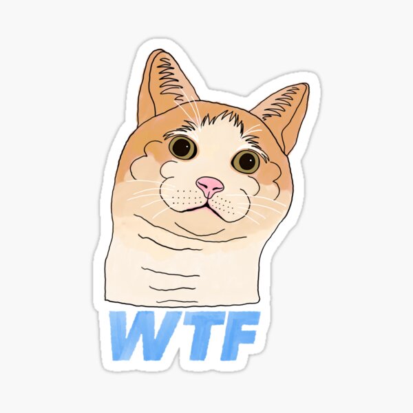"WTF Todd" Sticker for Sale by HollyPrice | Redbubble