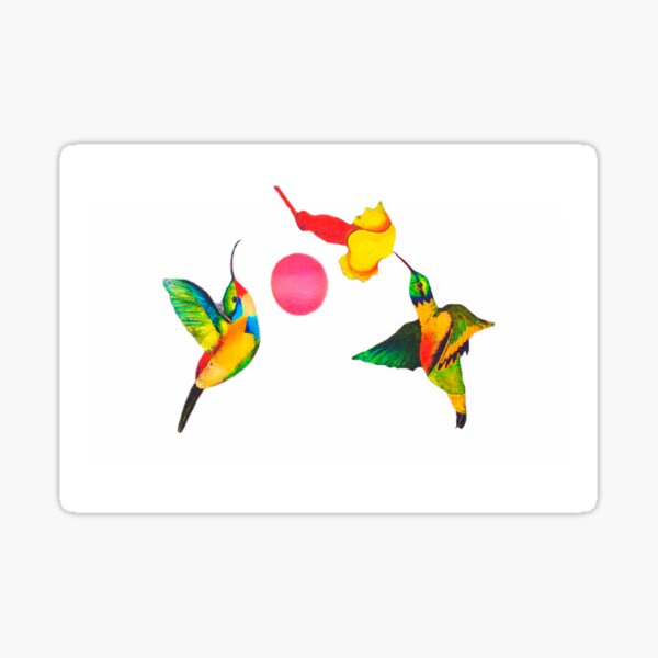 "Joe's Hummingbird Art" Sticker by alabca | Redbubble