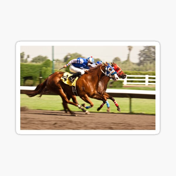 "Neck and Neck Heading to the Finish Line" Sticker for Sale by ...