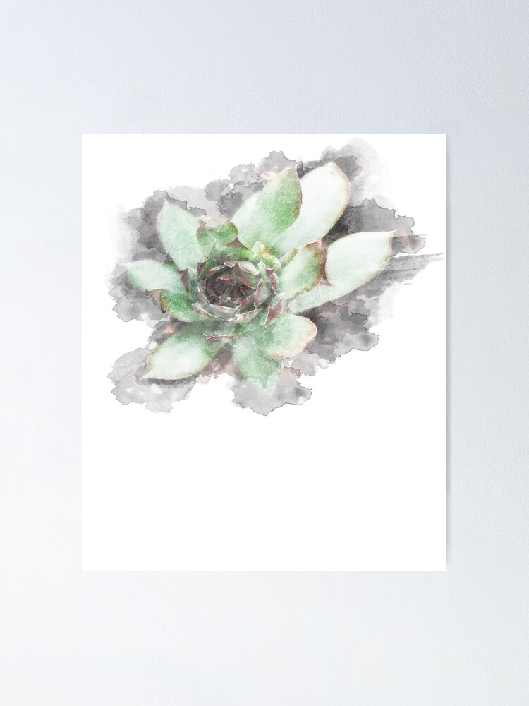 "Succulent Water Color" Poster by mirmirkane | Redbubble