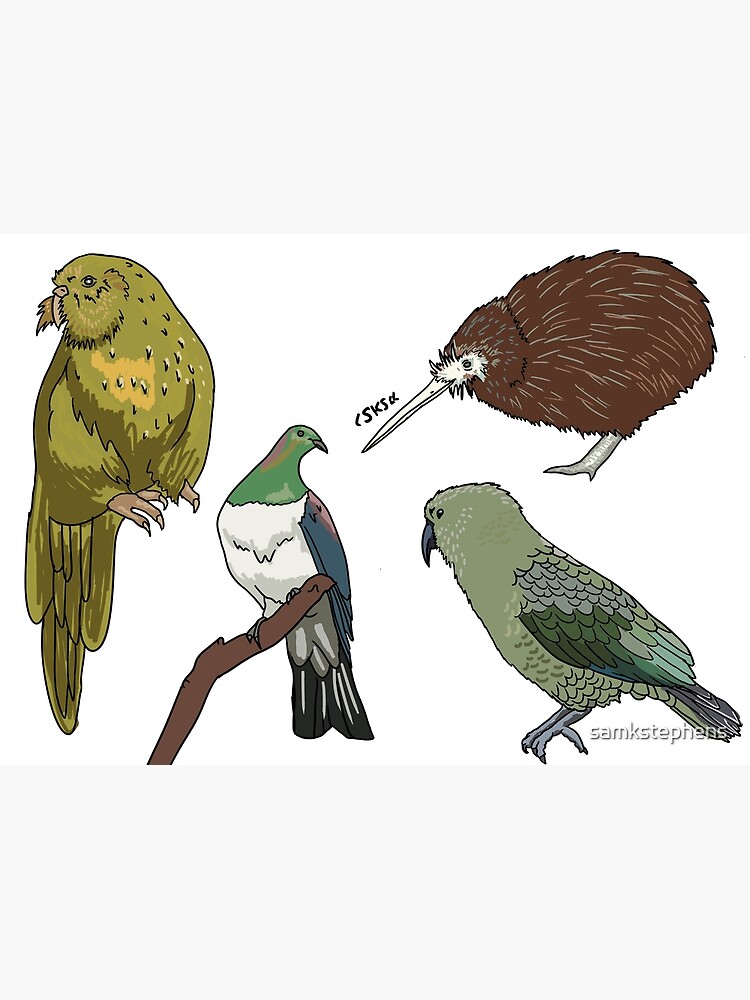 "New Zealand Native Birds" Poster for Sale by samkstephens | Redbubble