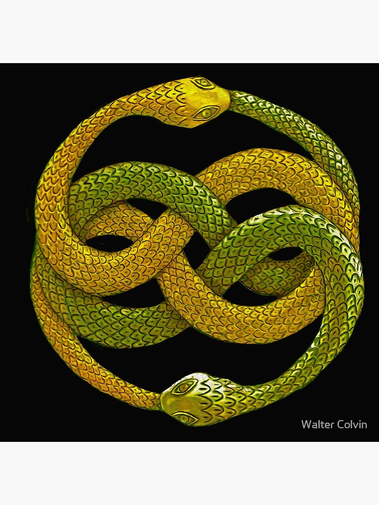 "Double Ouroboros Auryn" Poster for Sale by Walter Colvin | Redbubble