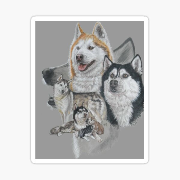"Siberian Husky Revamp" Sticker by BarbBarcikKeith | Redbubble