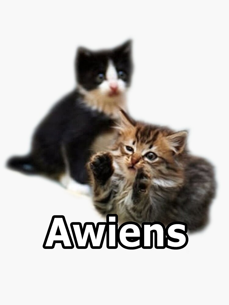 "Cat Meme Aliens" Sticker for Sale by gypsysgem | Redbubble