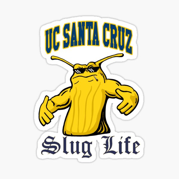 Ucsc Stickers | Redbubble