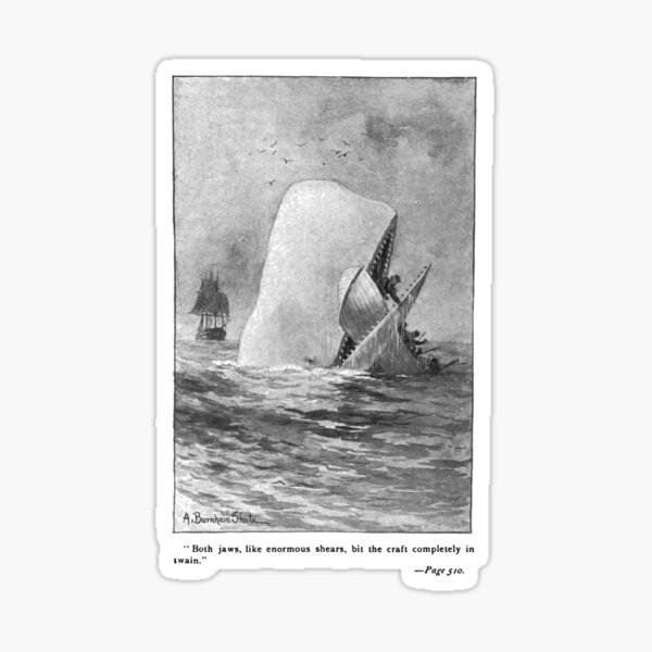 Dick Moby Stickers | Redbubble