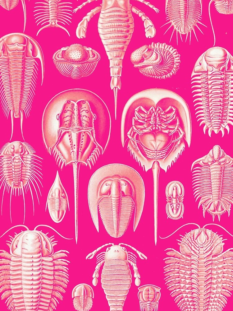 "Haeckel Trilobite - Pink" iPhone Case for Sale by neonxiomai | Redbubble