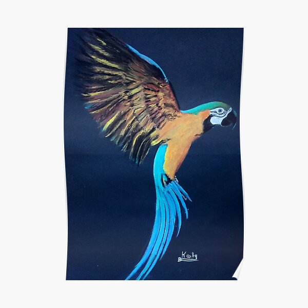 "Kiko by Kaity.B" Poster by KaityBpeintre | Redbubble
