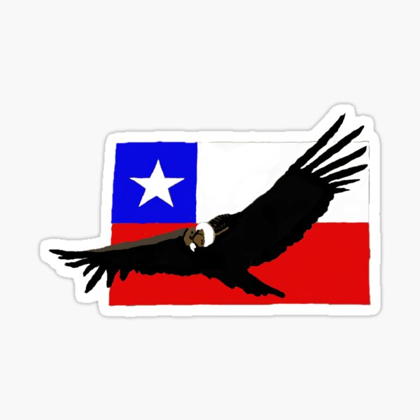 "Chilean Condor" Sticker for Sale by RoadRunner22 | Redbubble