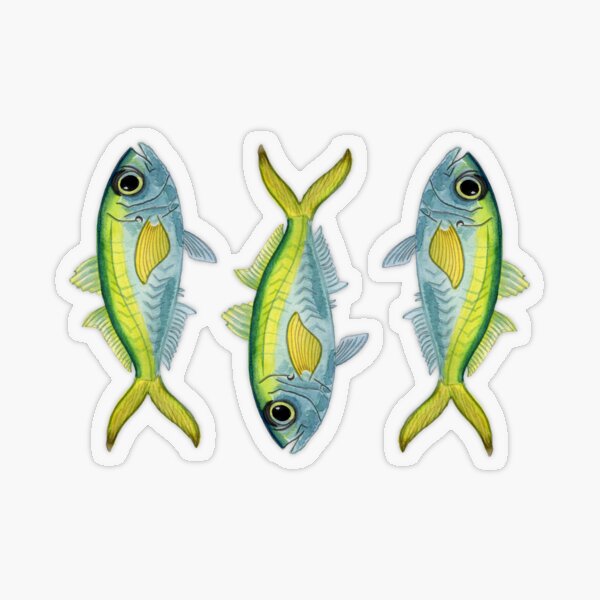 Scad Transparent Stickers | Redbubble