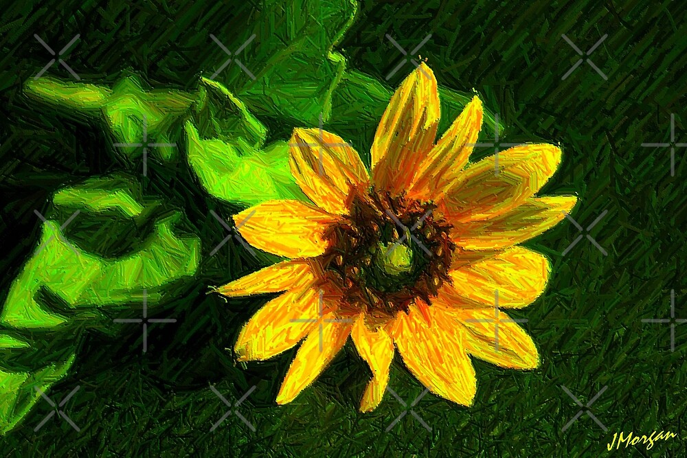"Sunflower In Color Pencil" by Julie's Camera Creations