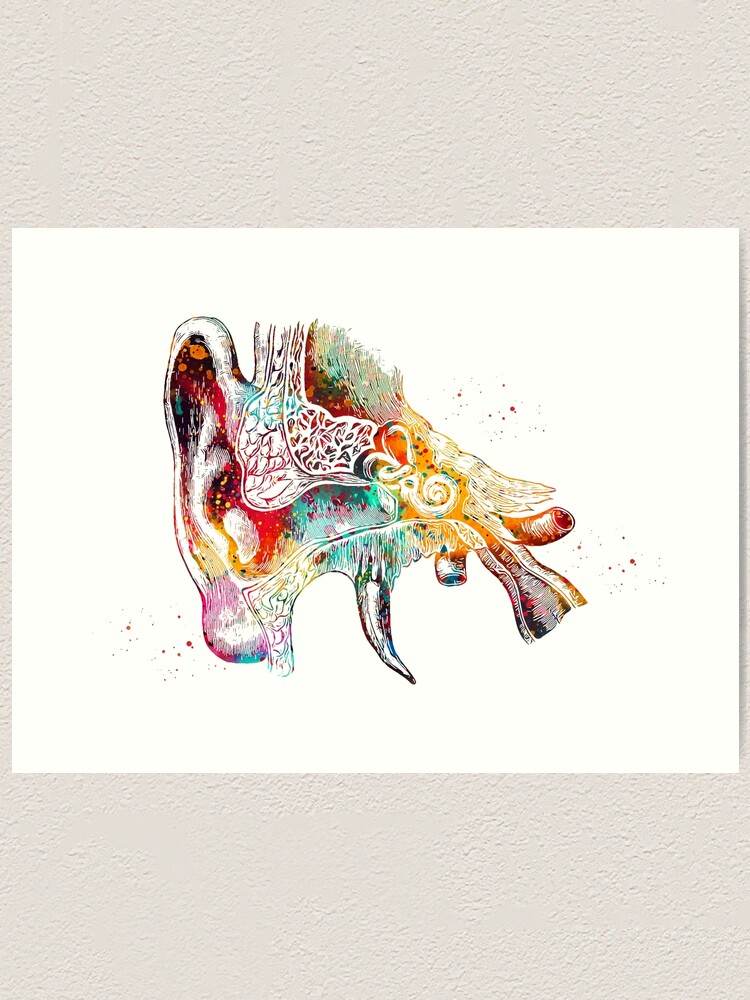 "Human ear" Art Print for Sale by erzebetth | Redbubble