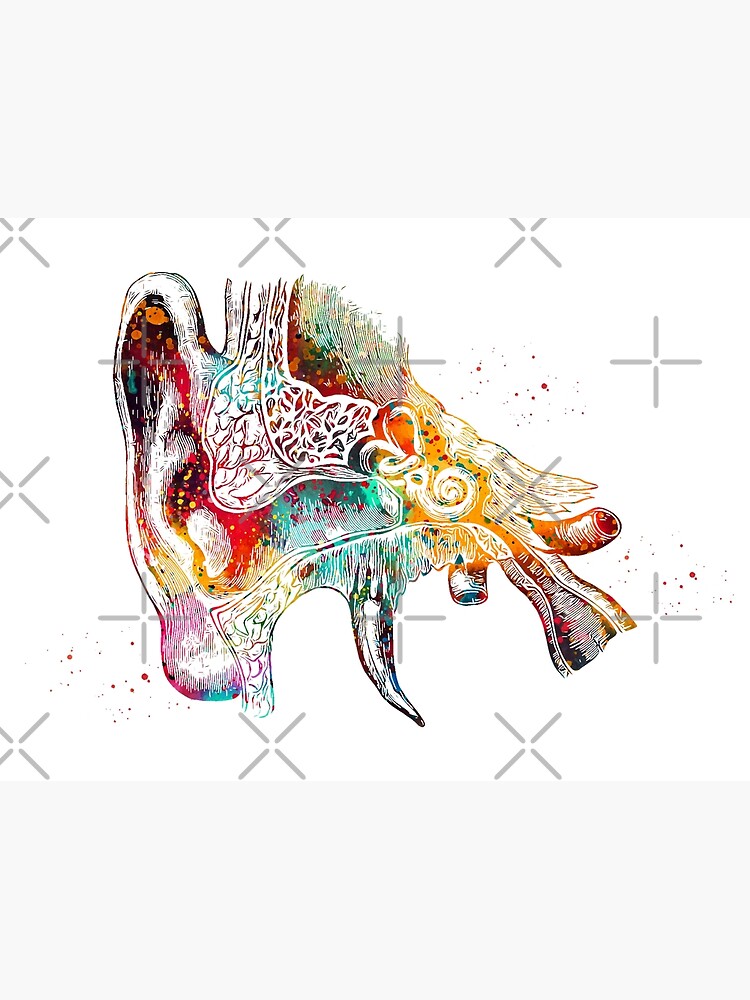 "Human ear" Art Print for Sale by erzebetth | Redbubble