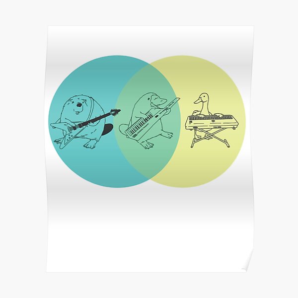 "Funny platypus with keytar diagram" Poster by k3rstman1 | Redbubble
