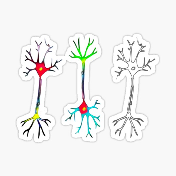 "Neuron Neurons colors" Sticker by AnisettedelSOL | Redbubble