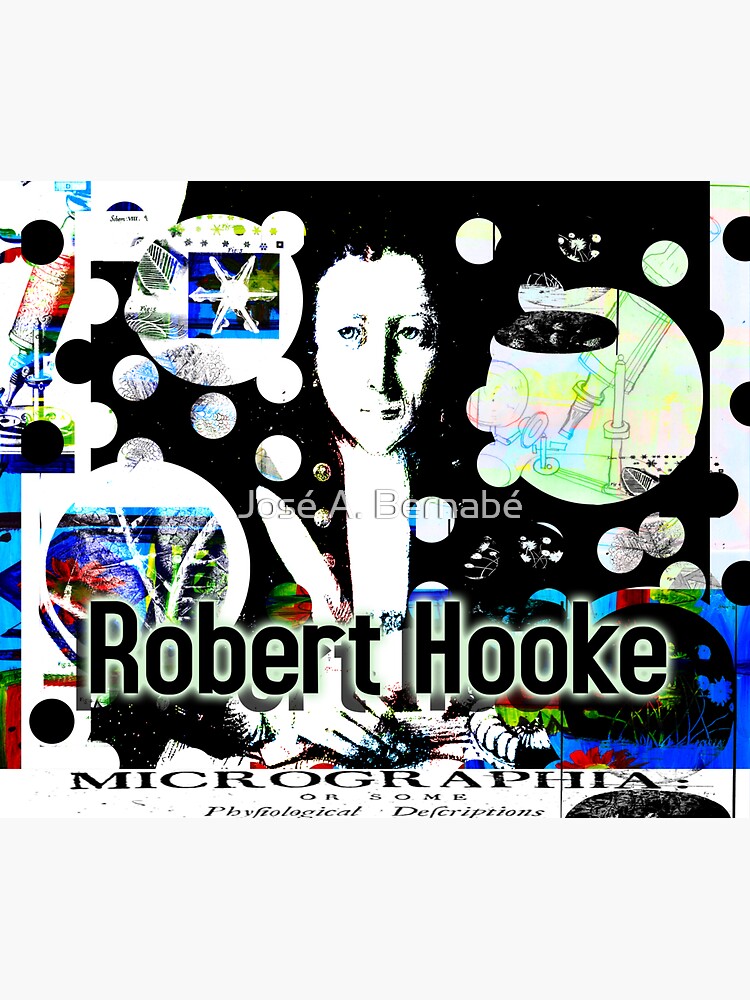 "Robert Hooke Micrography" Sticker by jose-bernabe28 | Redbubble