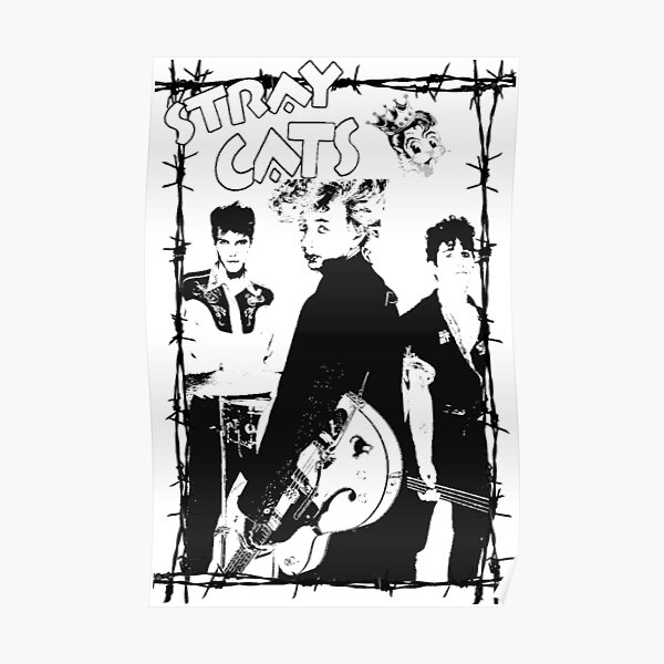 Stray Cats Posters | Redbubble