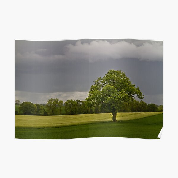 "Timeless English Countryside" Poster for Sale by Quattrophoto | Redbubble