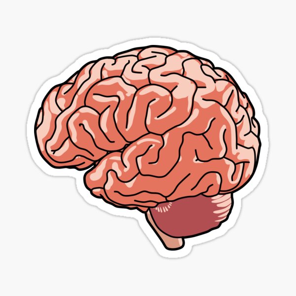 "brain" Sticker for Sale by daisy-sock | Redbubble