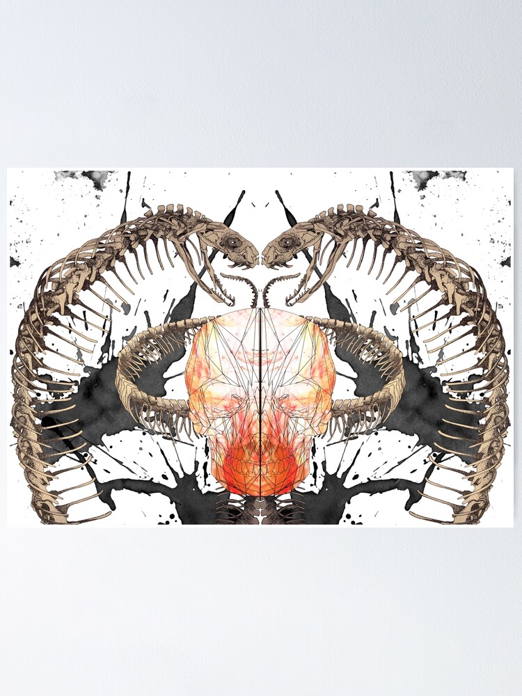 "Ouroboros Skeleton Human Skull" Poster for Sale by Gabaline | Redbubble