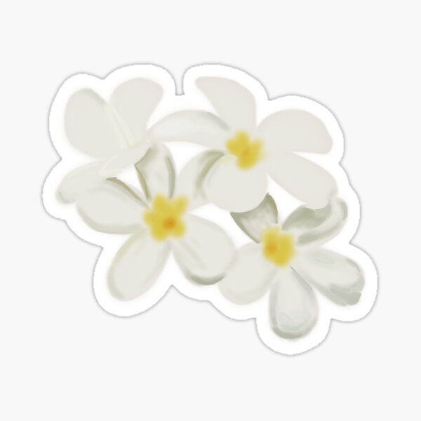 "Jasmine flowers" Sticker by MimieTrouvetou | Redbubble