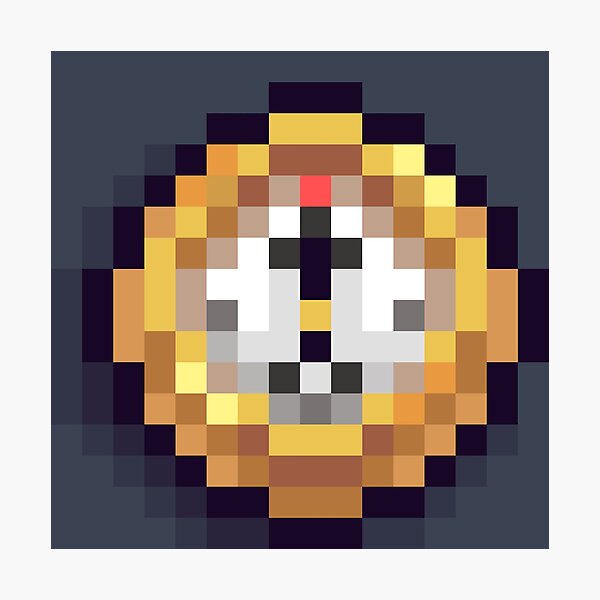 "Pixel Compass" Photographic Print for Sale by BenHenry | Redbubble