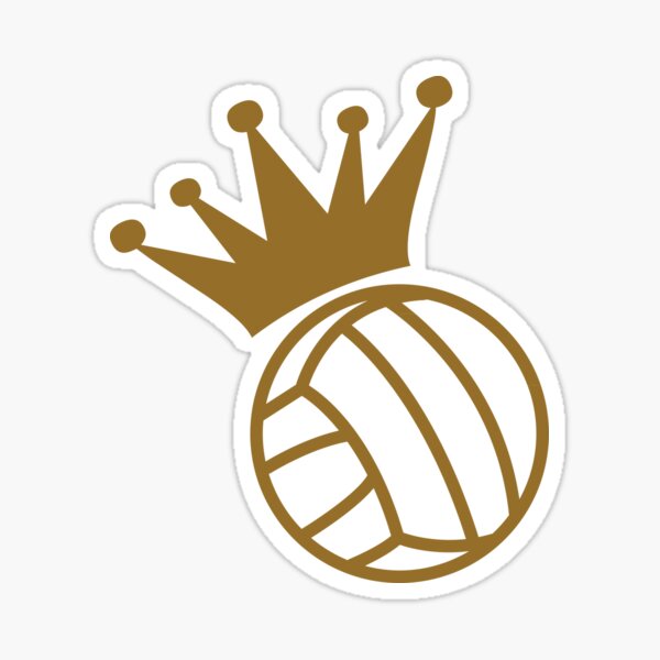 "Volleyball / Volleyball" Sticker for Sale by Z00l | Redbubble