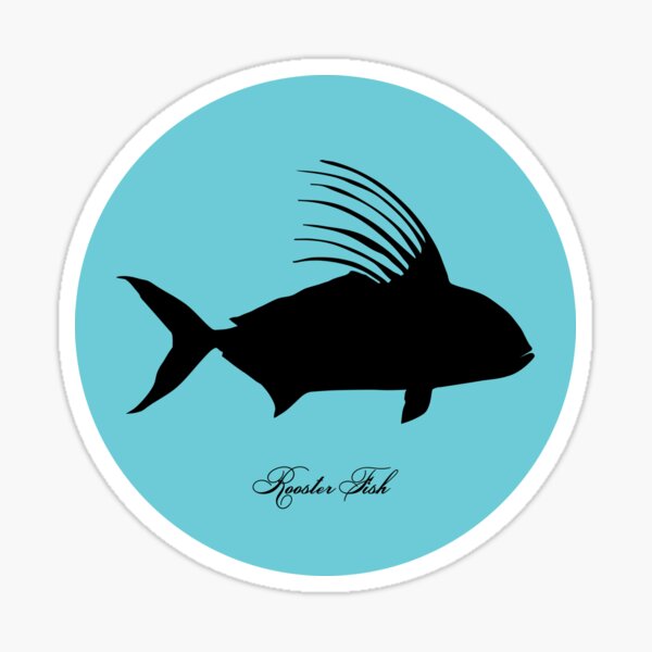 "Rooster Fish" Sticker by dkoda | Redbubble