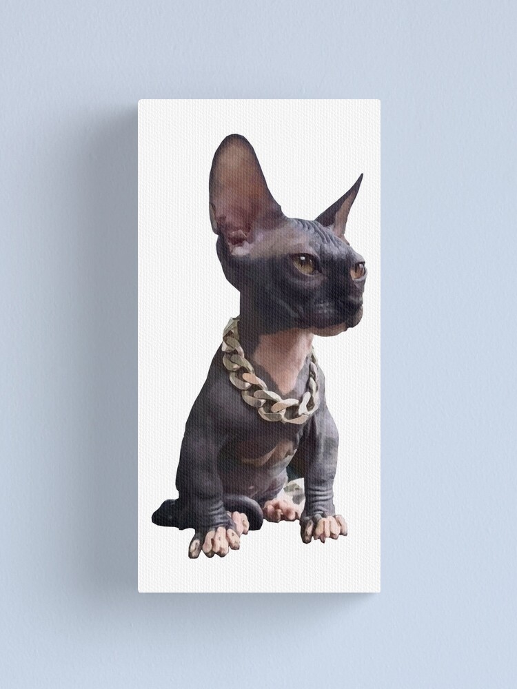"Gangsta Cat Meme" Canvas Print by JFuentez | Redbubble