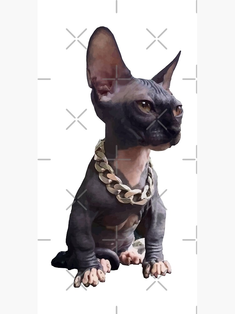 "Gangsta Cat Meme" Canvas Print by JFuentez | Redbubble