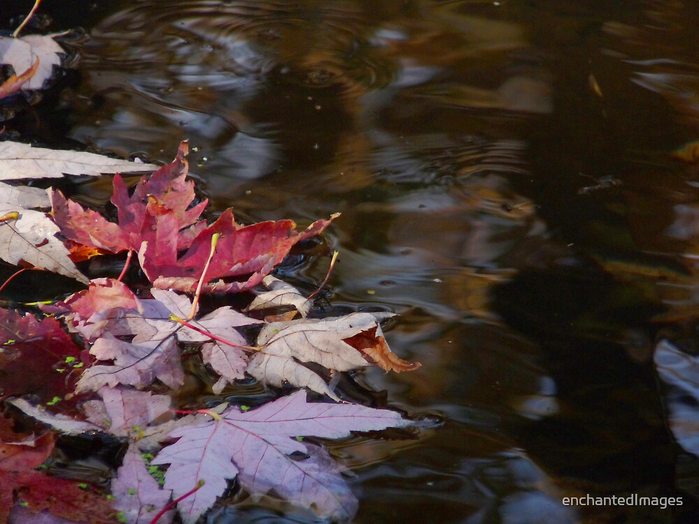 "Group Float" by enchantedImages | Redbubble