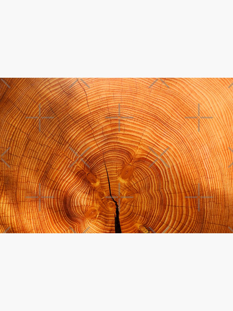 "Wood Grain" Sticker by AlaskaExtreme | Redbubble