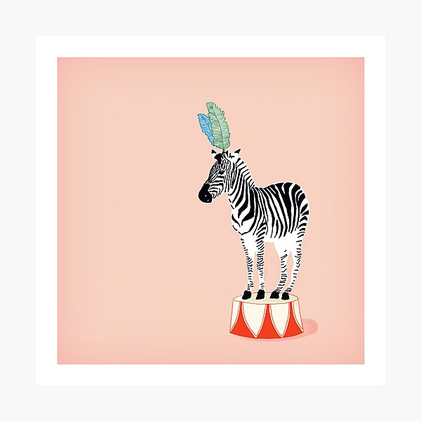 "Circus Zebra" Photographic Print by lisarupp | Redbubble