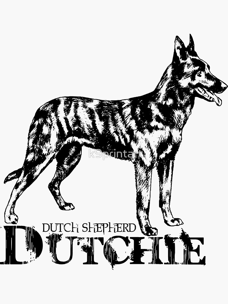 "Dutch Shepherd - Dutchie" Sticker for Sale by k9printart | Redbubble