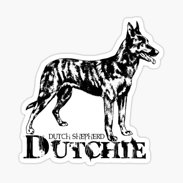 "Dutch Shepherd - Dutchie" Sticker for Sale by k9printart | Redbubble