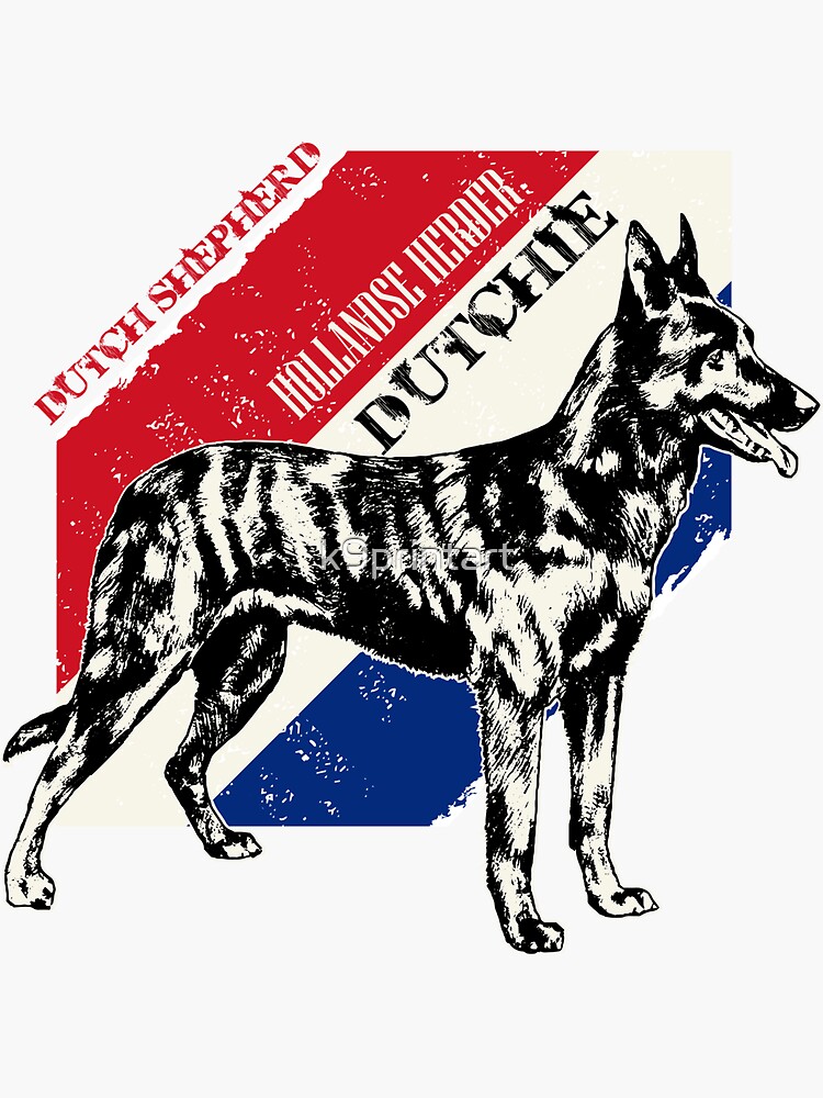 "Dutch Shepherd - Dutchie" Sticker for Sale by k9printart | Redbubble