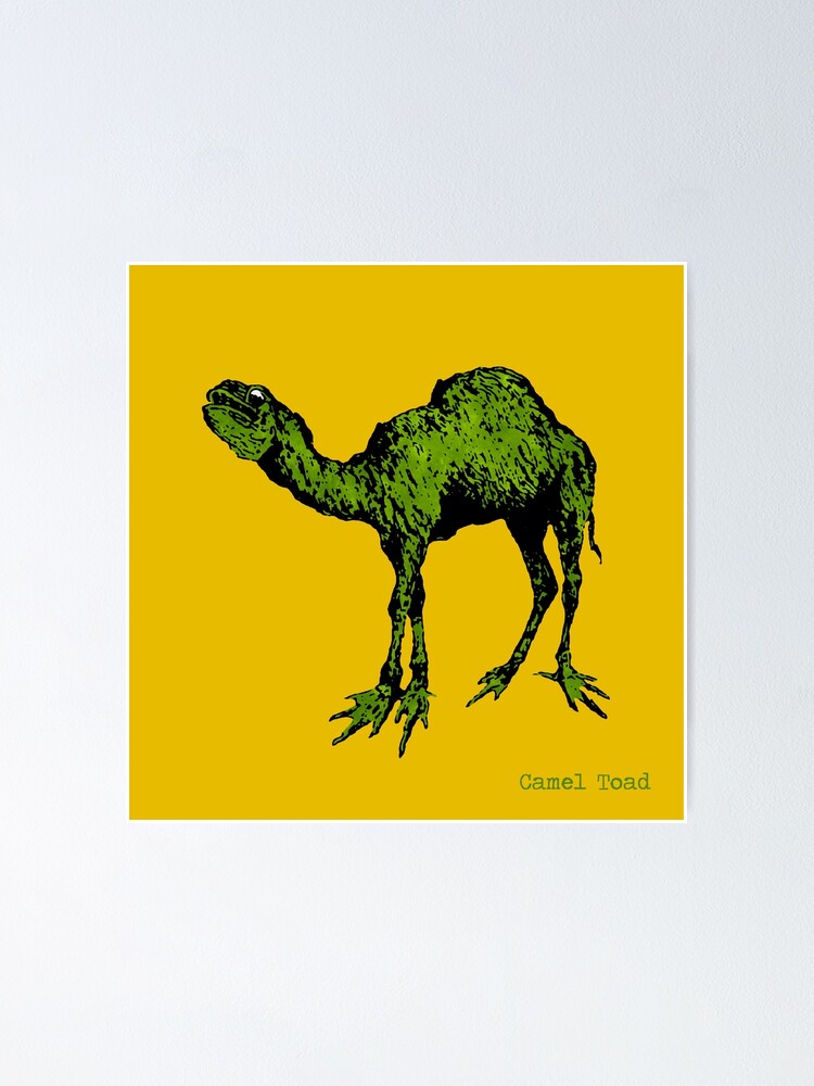"Camel Toad" Poster for Sale by WallOfDaft | Redbubble