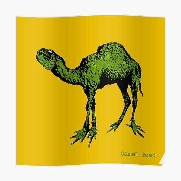 "Camel Toad" Poster for Sale by WallOfDaft | Redbubble