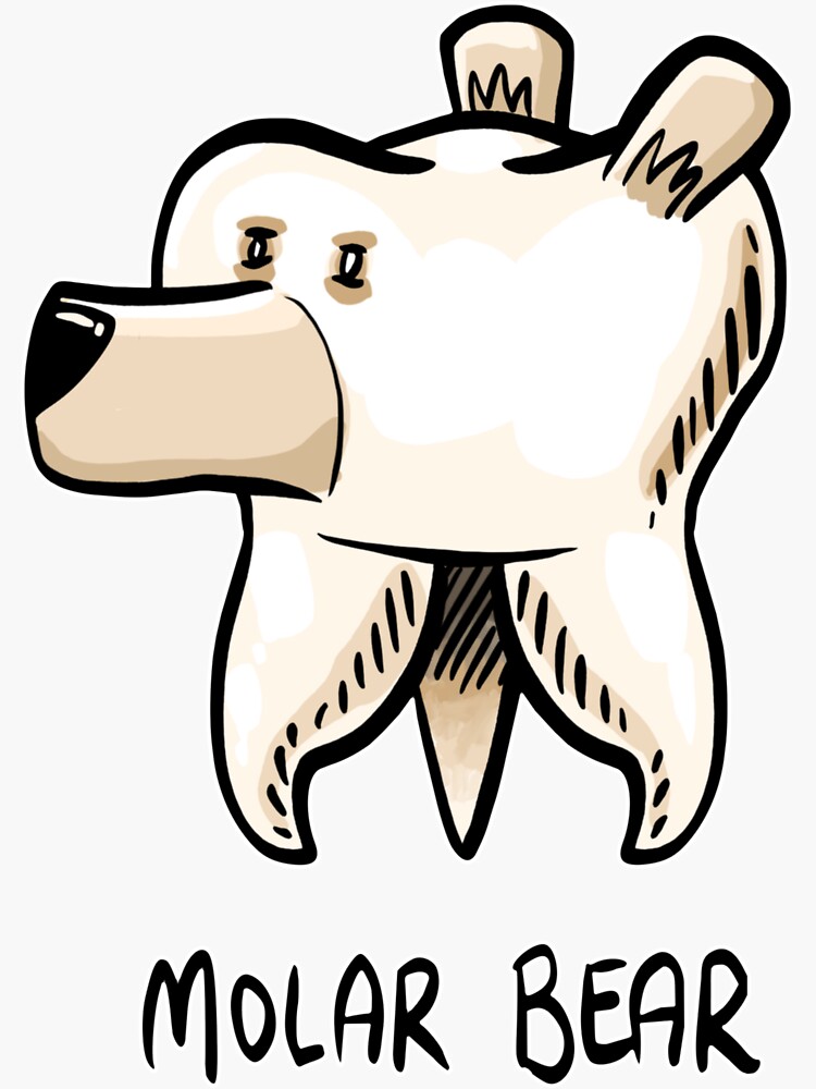 "Molar Bear" Sticker for Sale by DocHackenbush | Redbubble