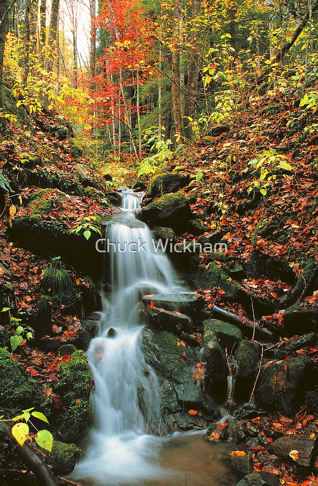 "MOUNTAIN STREAM,AUTUMN" by Chuck Wickham | Redbubble