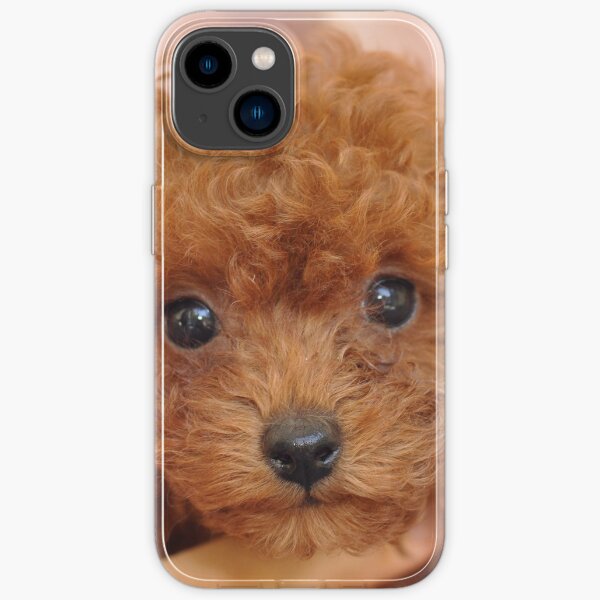 "Love me, kiss me, cuddle me" iPhone Case for Sale by TeacupPoodles ...