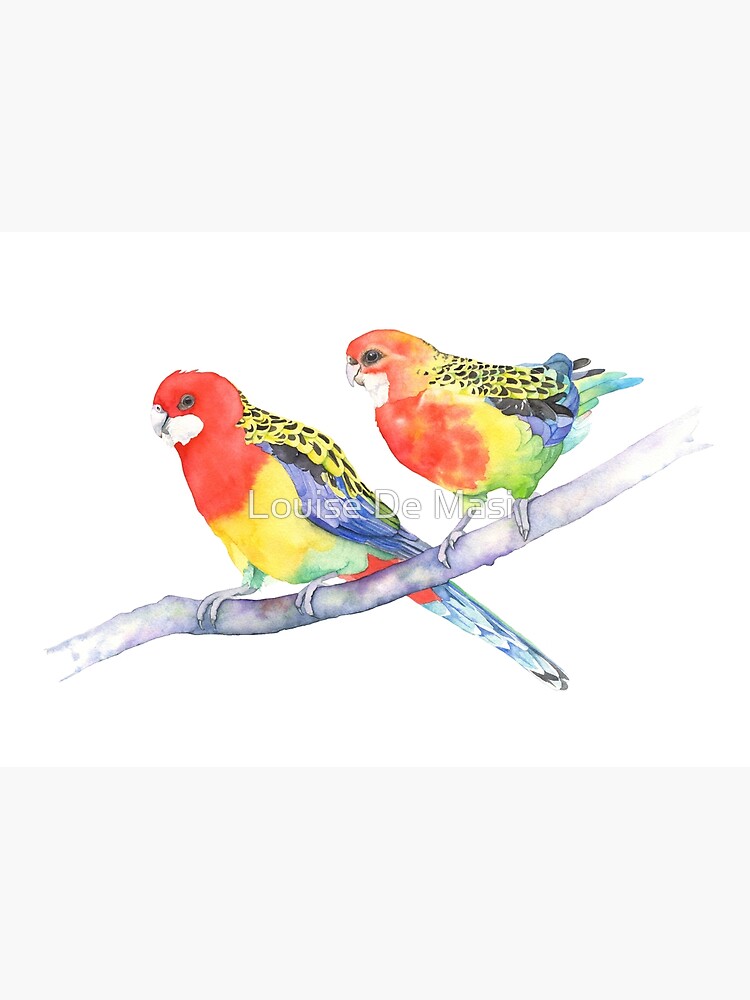 "Eastern Rosellas" Canvas Print for Sale by Louisedemasi | Redbubble