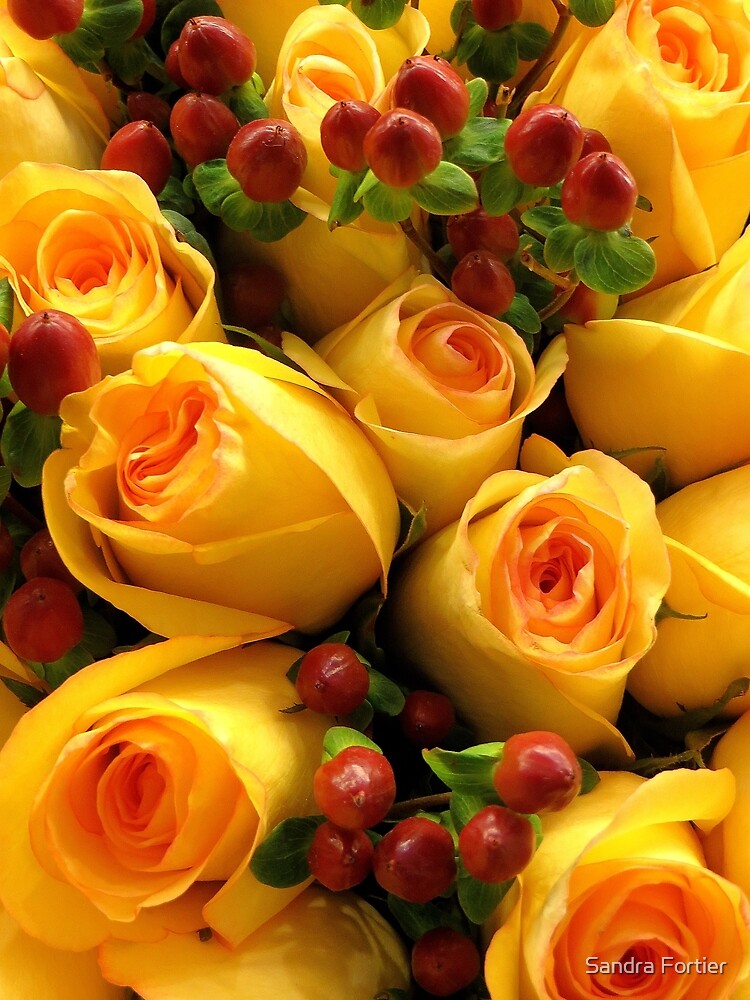 "Peachy Perfect!" by Sandra Fortier | Redbubble