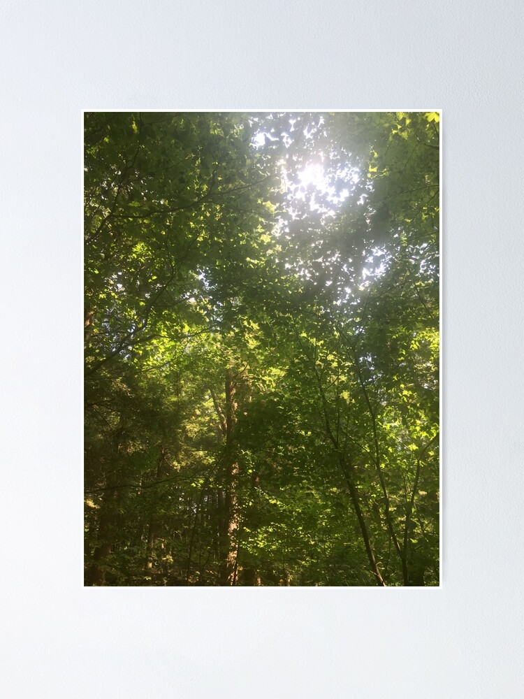 "Adirondack Skylight" Poster for Sale by ByCait | Redbubble