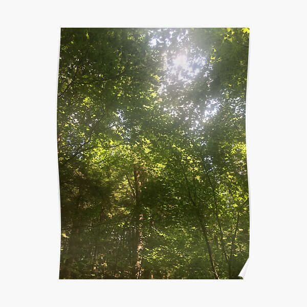 "Adirondack Skylight" Poster for Sale by ByCait | Redbubble